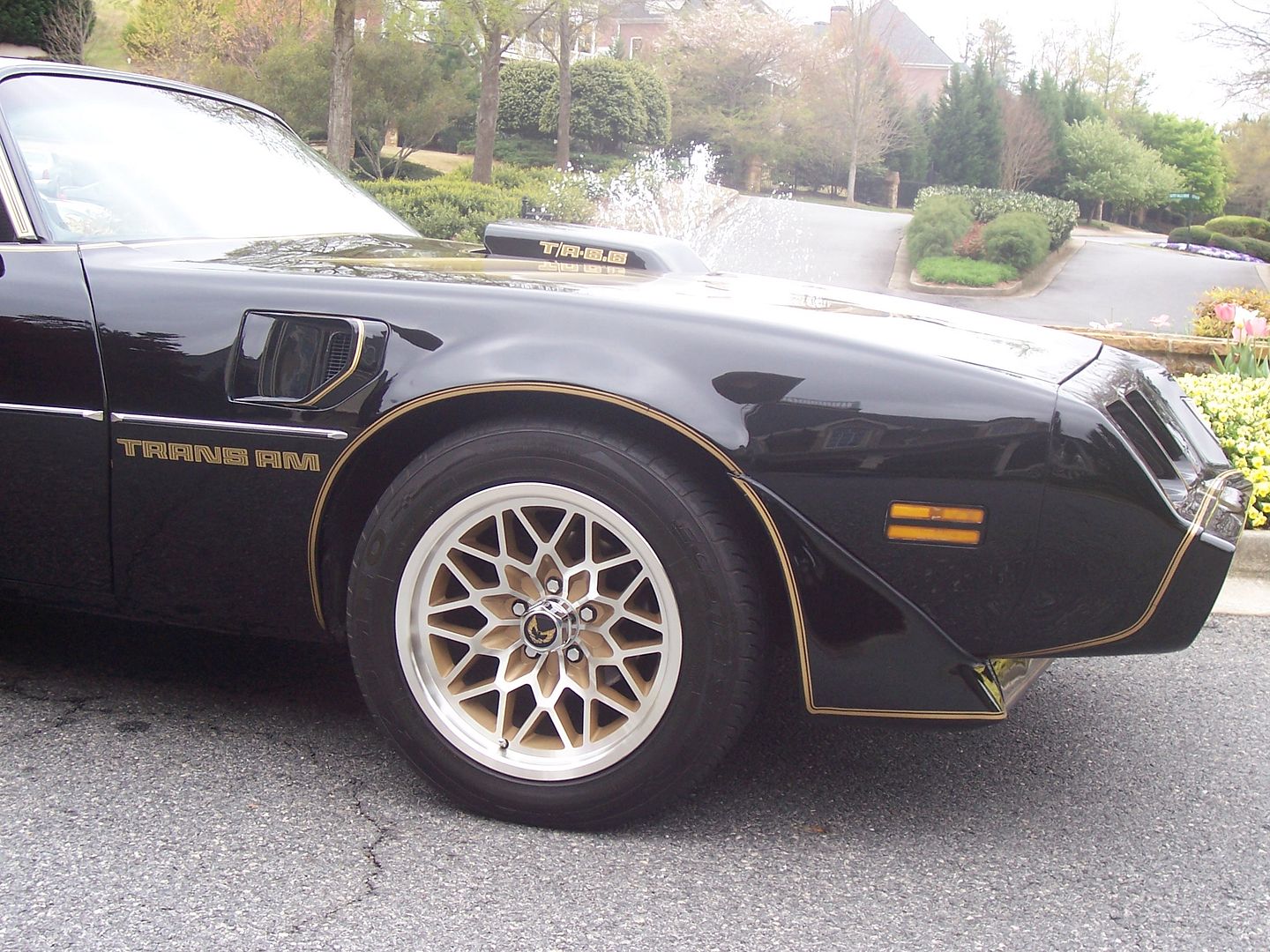 1979 Pontiac Trans AM Special Edition – SOLD - Cloud 9 Classics